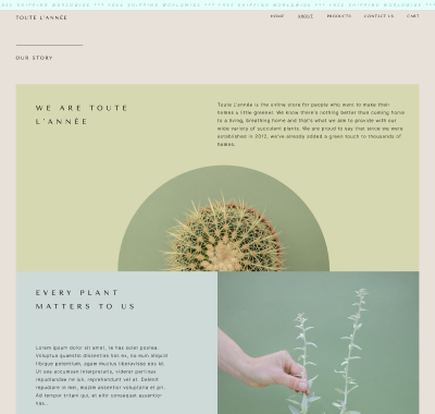 Over Ons - Sin Merchandise